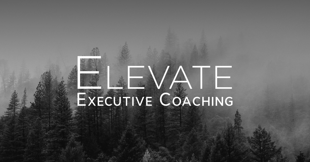 Executive Coaching for C-Suite & Board-Level Leaders